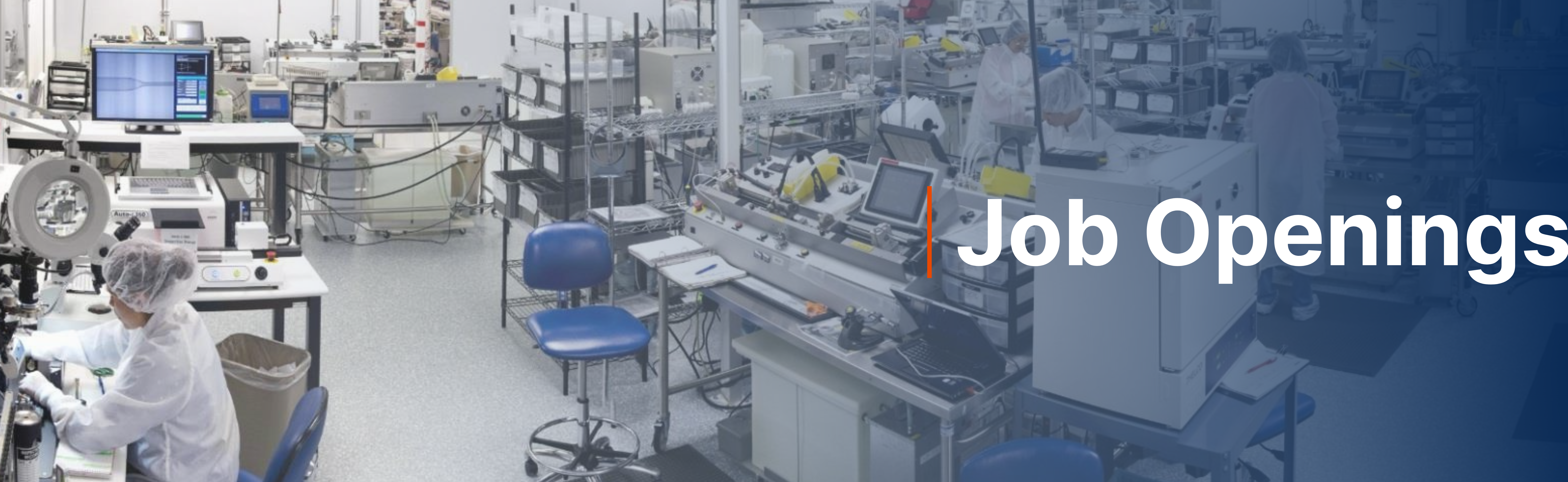 Search for Jobs Introduce Yourself